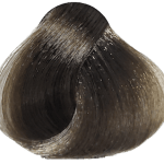 Maxima Professional Hair Color - 8.1 Light Ash Blond