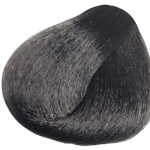 Maxima Professional Hair Color - Ash